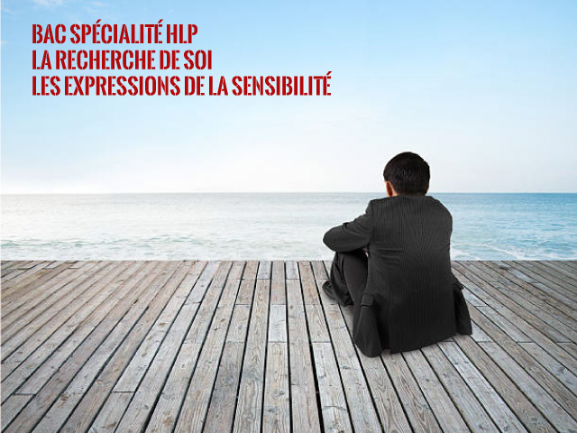 Fiche de révision bac HLP : les expressions de la sensibilité