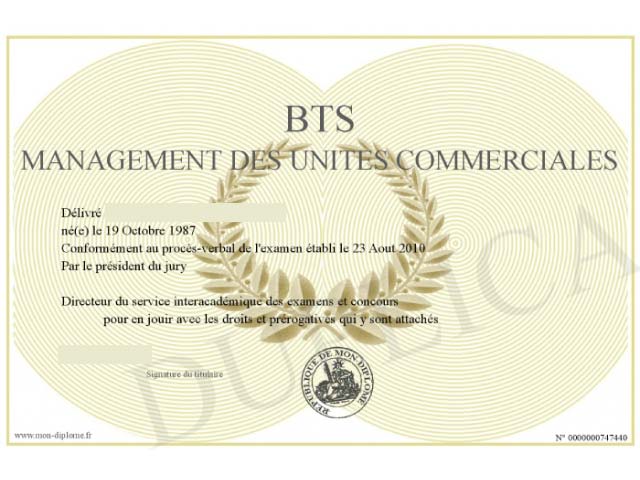 Le BTS Management des Unités Commerciales : programme, débouchés?