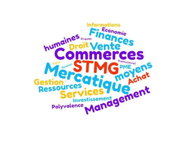 Bac STMG sciences et technologies du management et de la gestion
